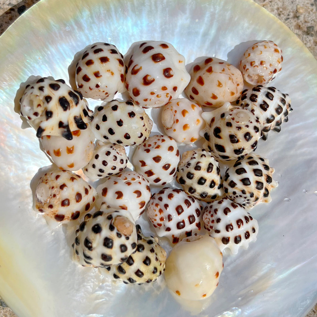 Drupe cone Bangle – banglesbyjoii